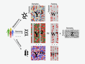 Stegle Lab – Pioneering Computational Methods for Molecular Biology and ...